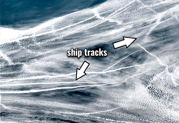 Spectacular ship tracks visible in the marine layer over the North ...